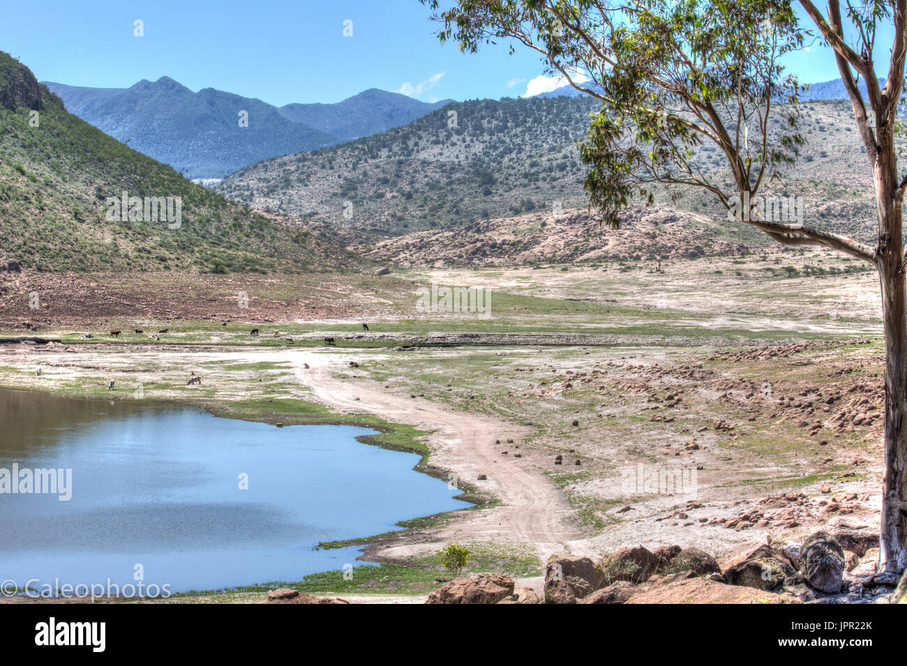 High plains desert hi-res stock photography and images - Alamy