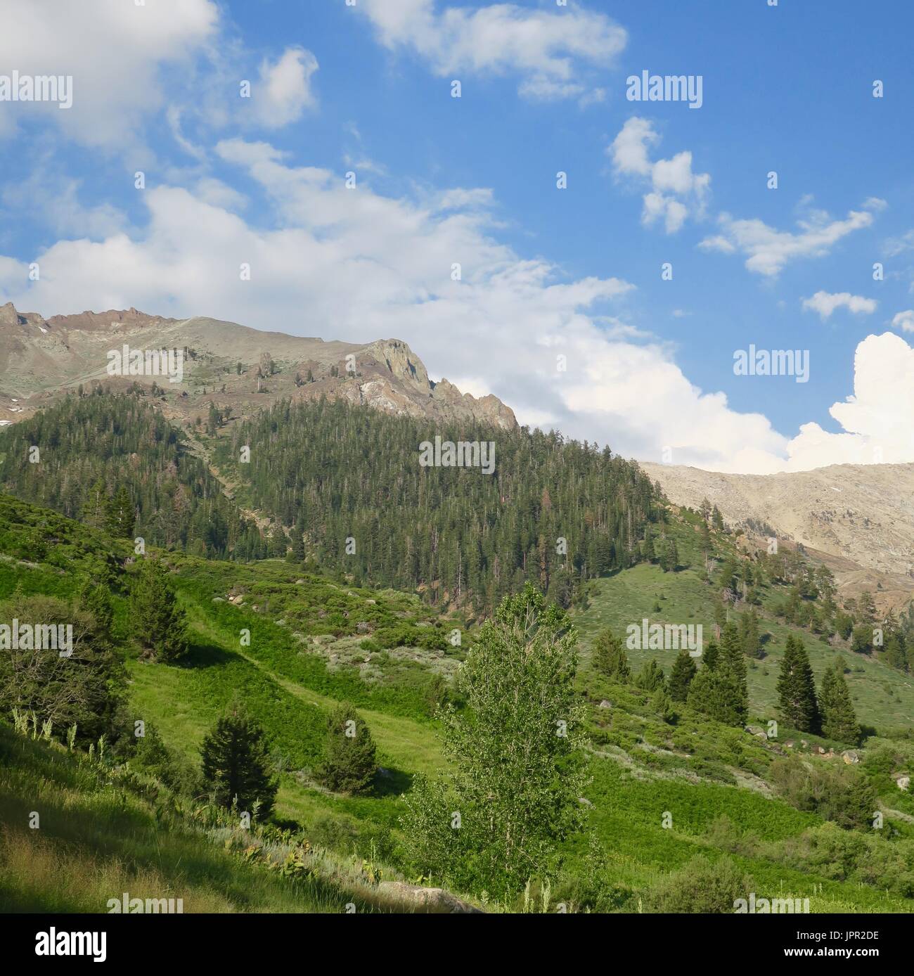 Peaks Over Mineral King Valley, Sequoia National Park, California ...