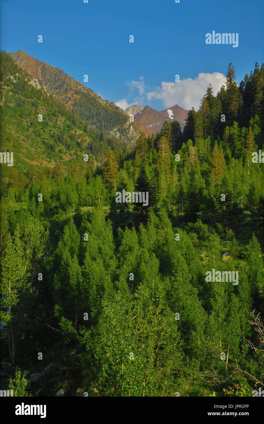 Peaks Over Mineral King Valley, Sequoia National Park, California ...