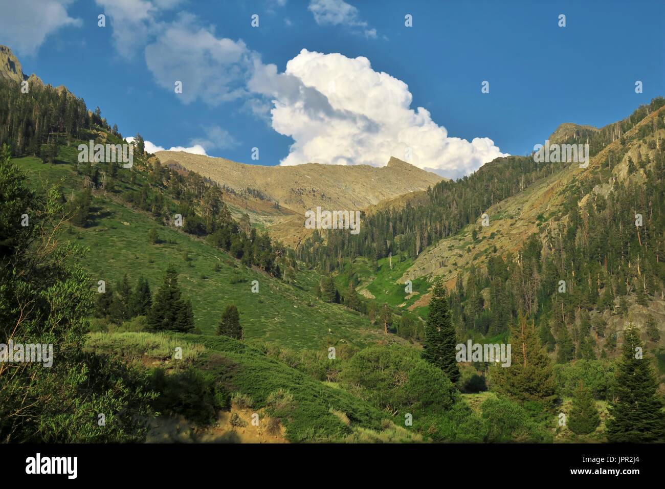Peaks Over Mineral King Valley, Sequoia National Park, California ...