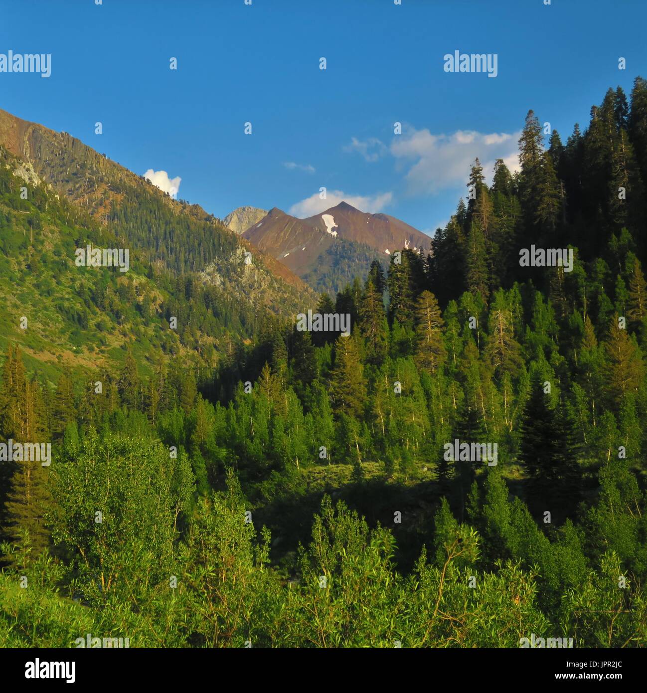 Peaks Over Mineral King Valley, Sequoia National Park, California ...