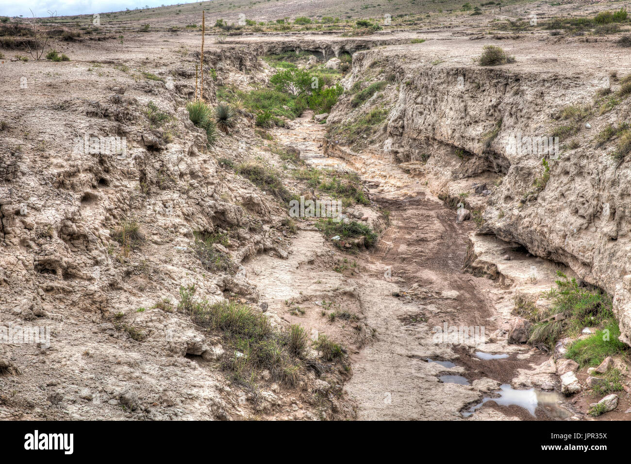 Ravine desert hi-res stock photography and images - Alamy