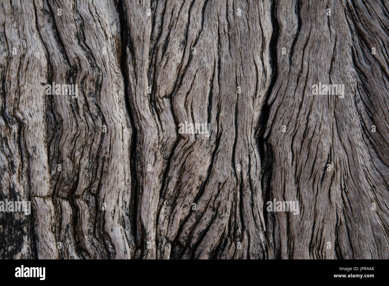 Decaying wood texture hi-res stock photography and images - Alamy