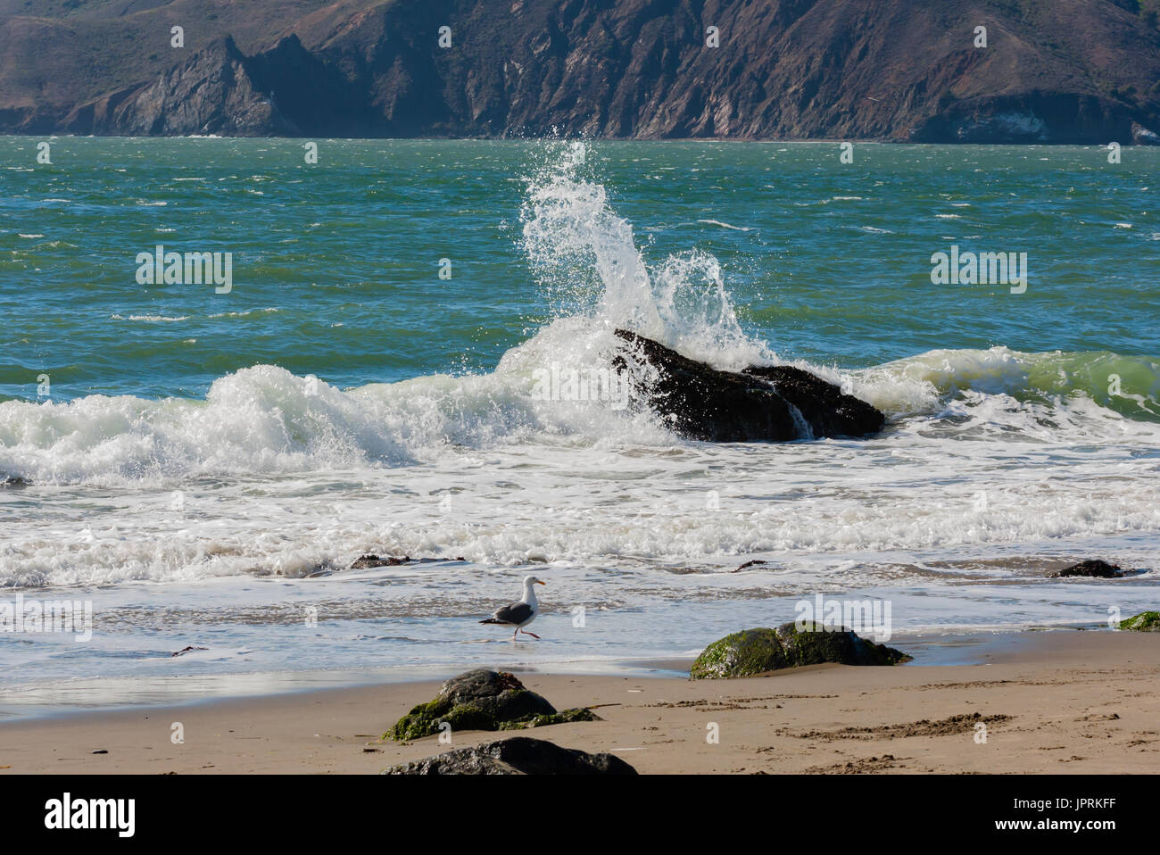 water splashing into rock on beach Stock Photo - Alamy