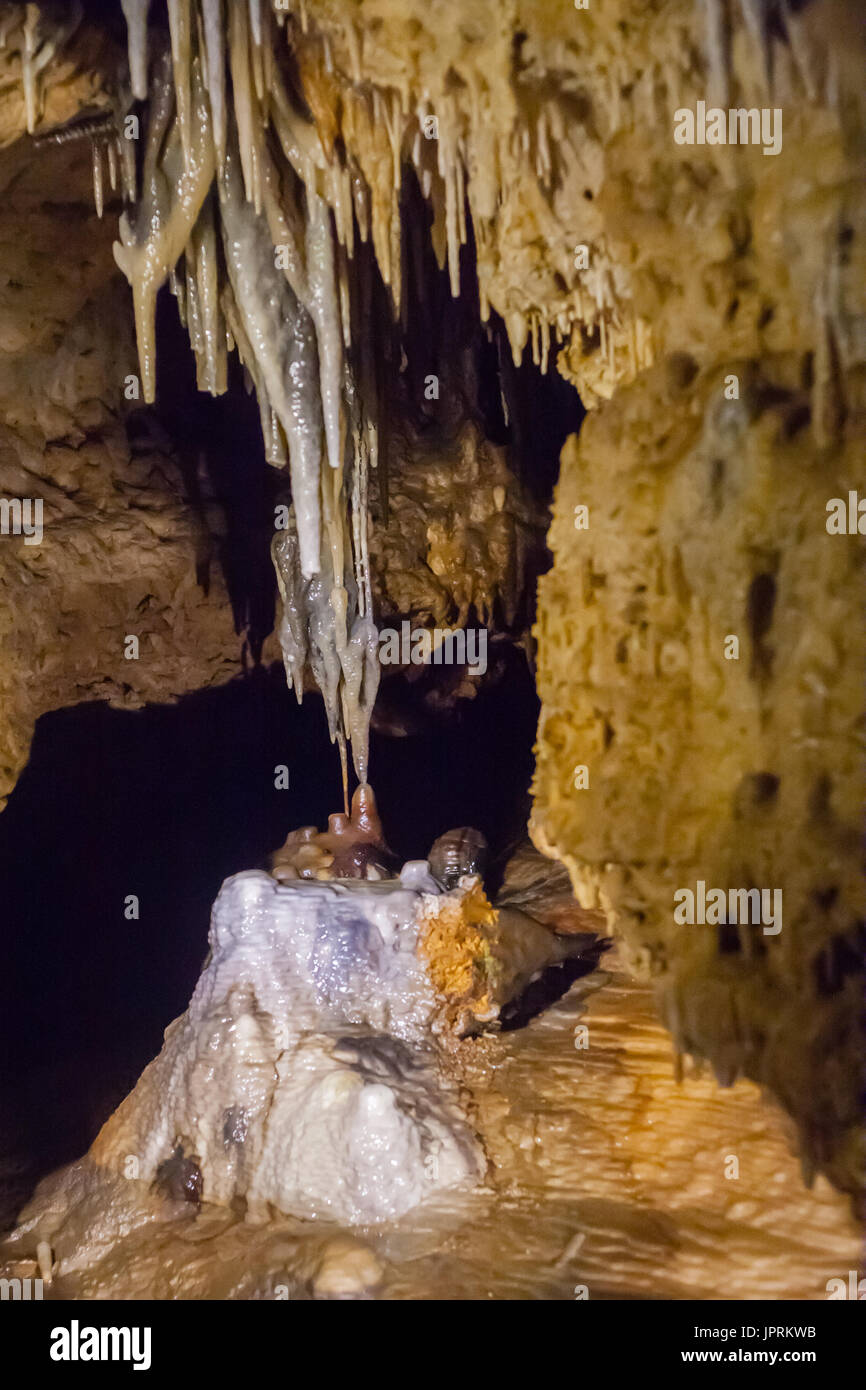 stalacites and stalagmites dripping down Stock Photo - Alamy