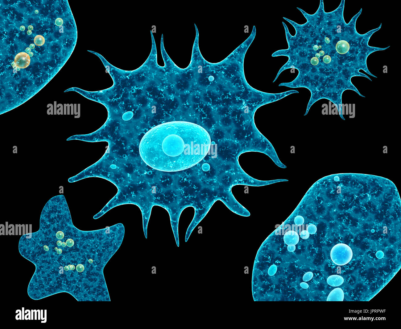 Amoebas on black background. 3d render Stock Photo - Alamy