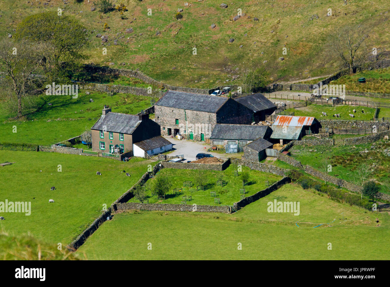 Farm with cluster of farmyard buildings surrounded by green fields ...