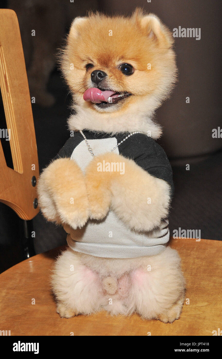 Jiff at DanceOn's SPOTLIGHT: The Ultimate Dance Experience held at the ...