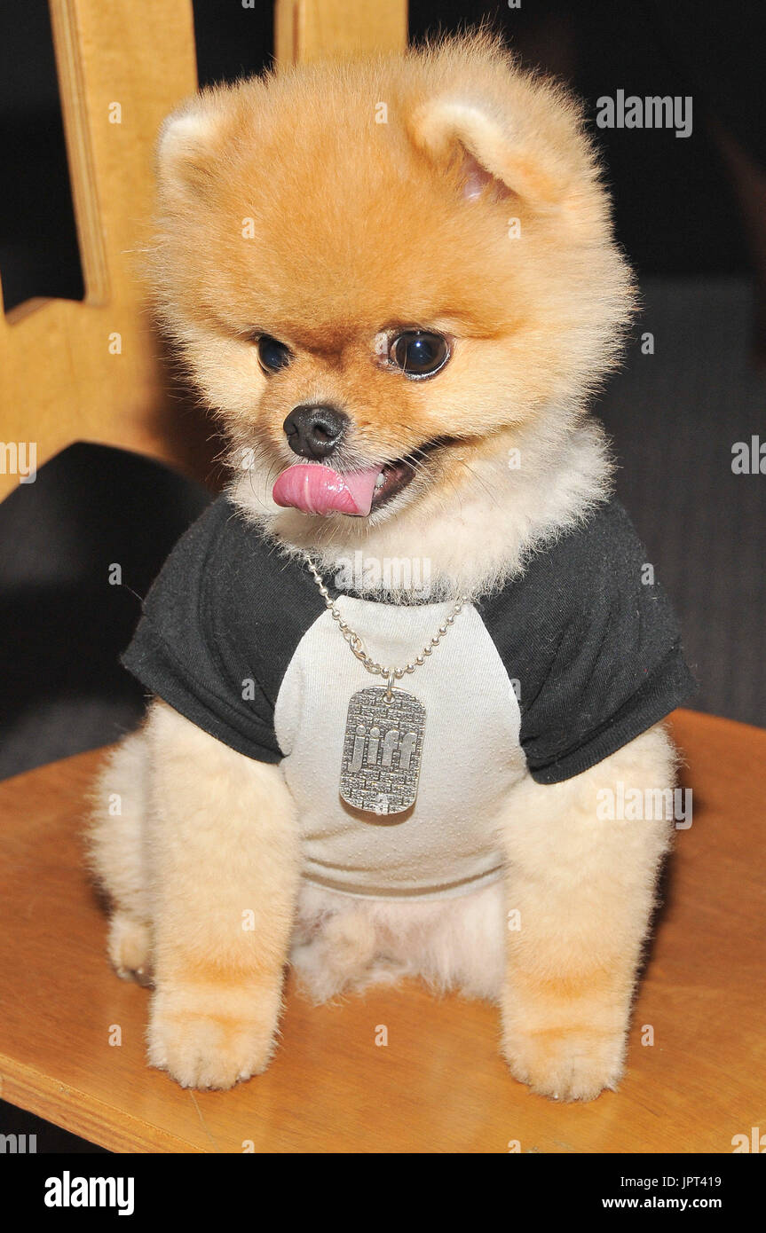 Jiff at DanceOn's SPOTLIGHT: The Ultimate Dance Experience held at the ...