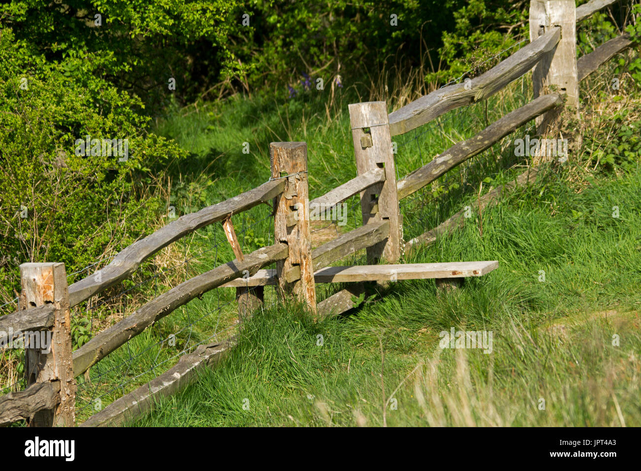 Wooden stile and timber railings of adjacent fence in England Stock ...