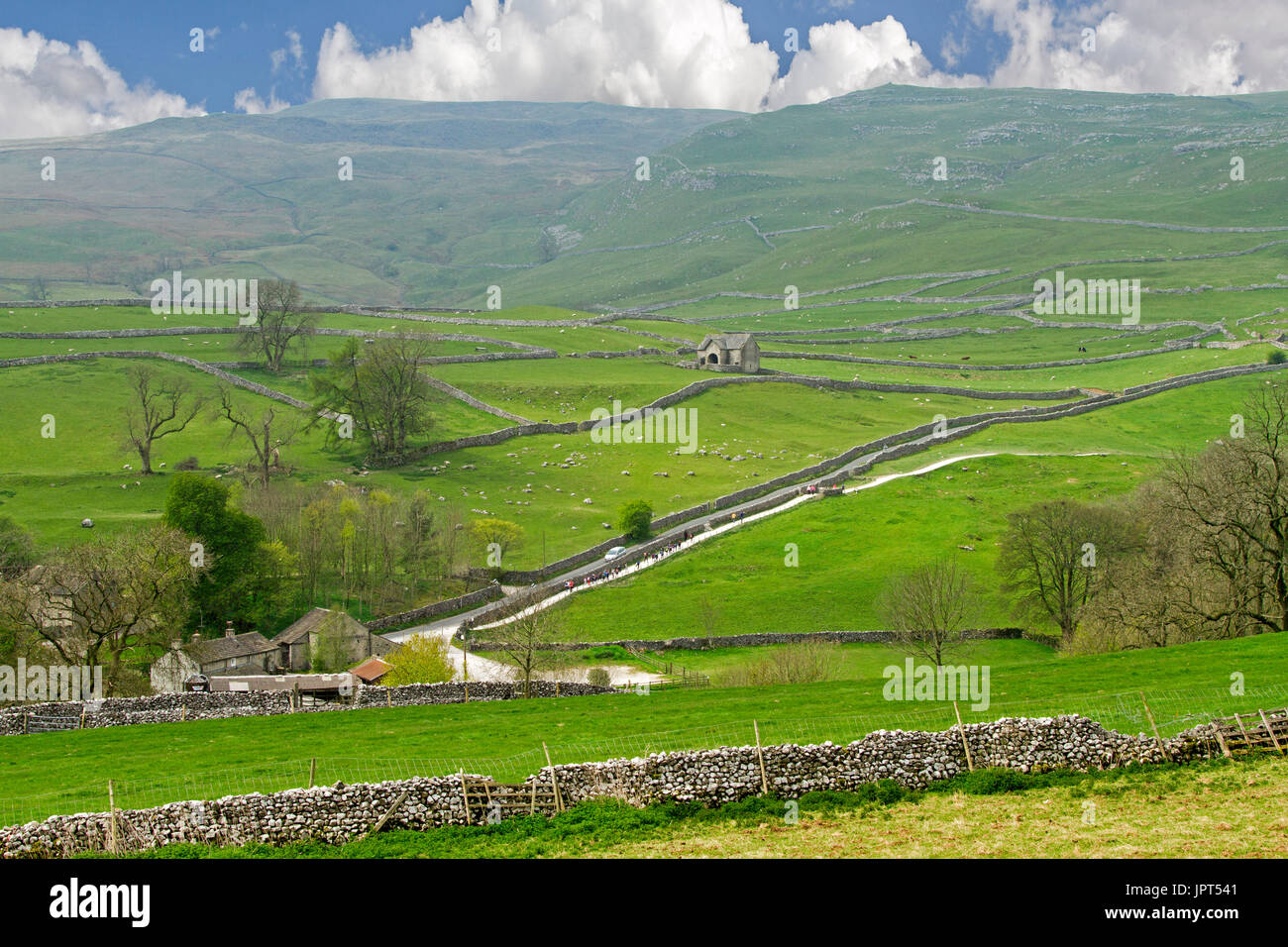 Yorkshire dales landscape with farmhouse and narrow road through ...
