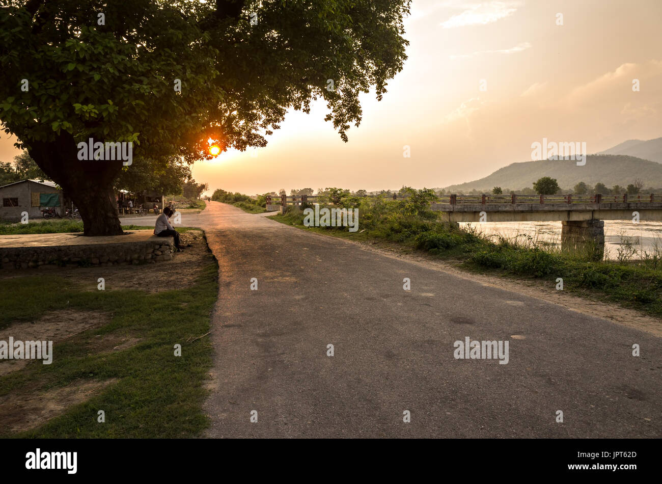 a man resting under a big tree at sunset Stock Photo - Alamy