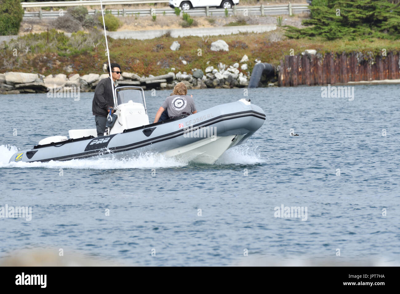 A speed boat cruising over the water Stock Photo - Alamy