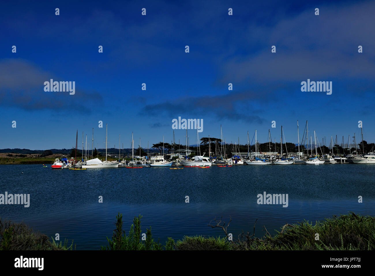 Moss landing hi-res stock photography and images - Alamy