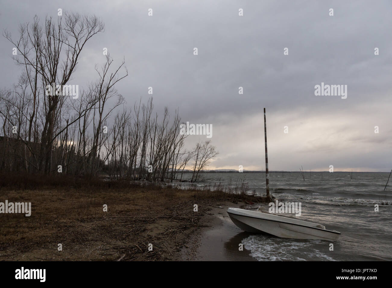 A lake shore with trees, stormy weather, clouds, water waves and a ...
