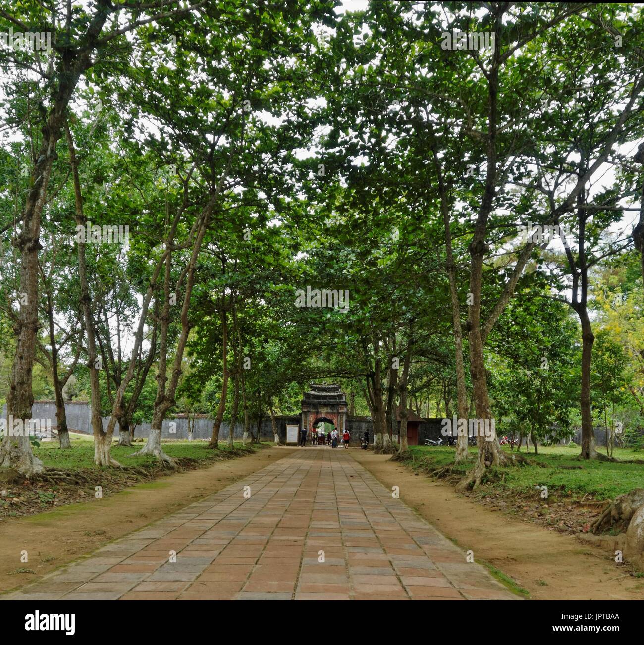 Leading line on the walking path Stock Photo - Alamy