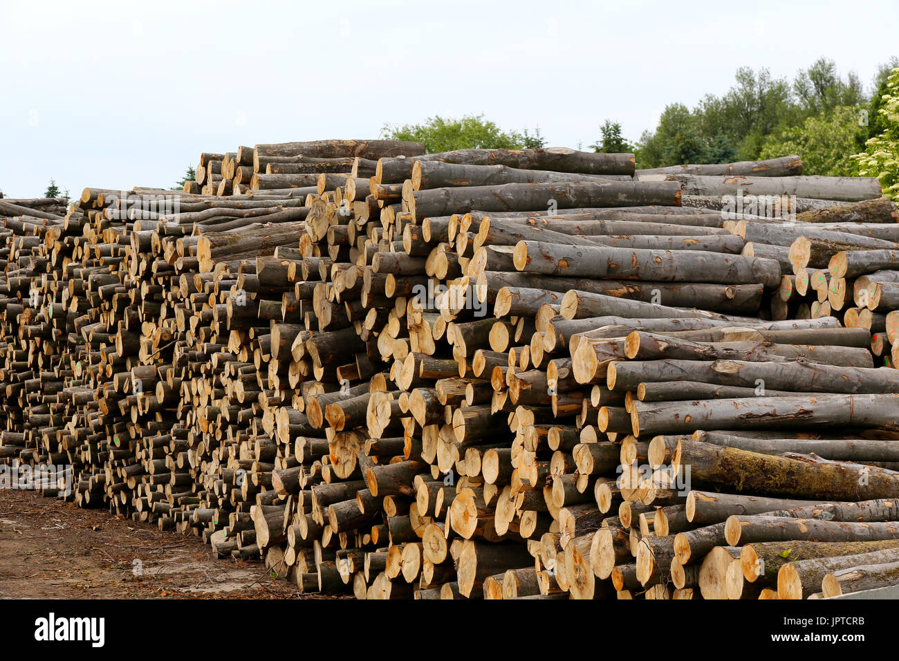 Wood stocks hi-res stock photography and images - Alamy