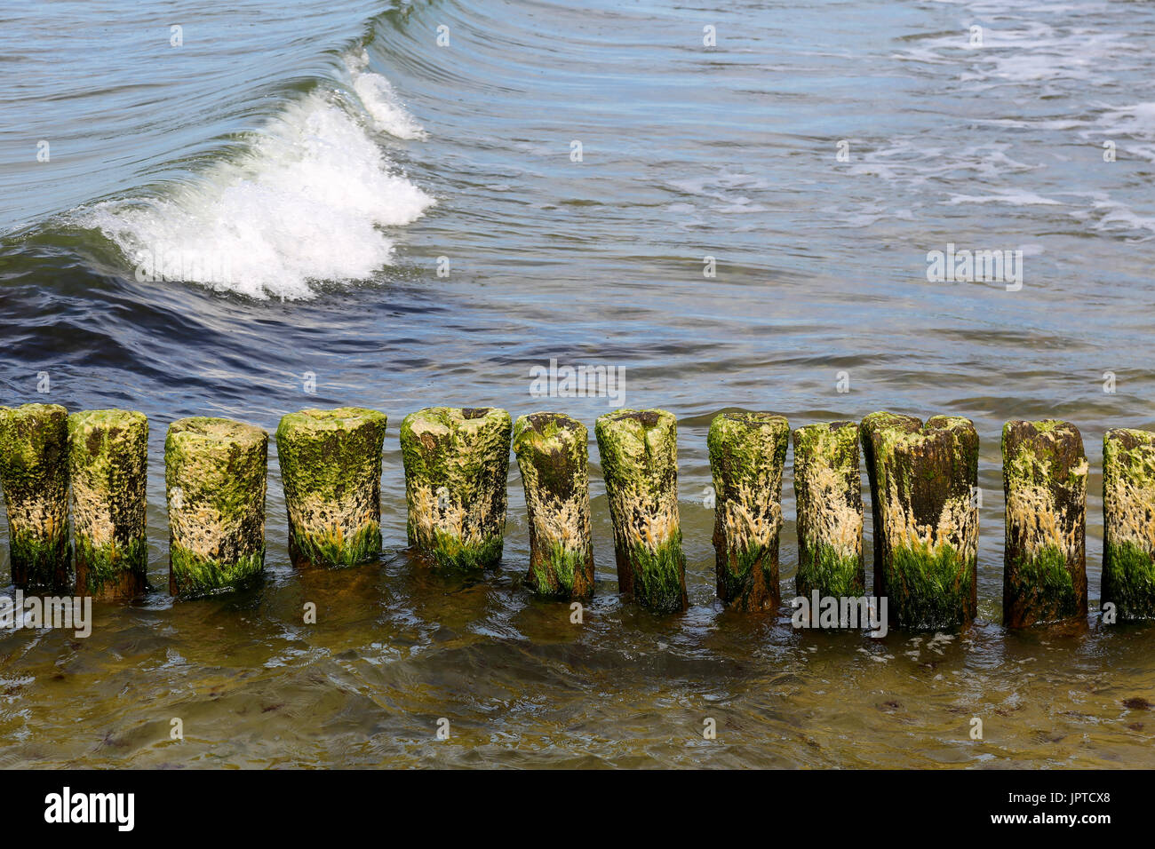 Wooden poles stick out of the seabed and one sea wave can be seen. This ...