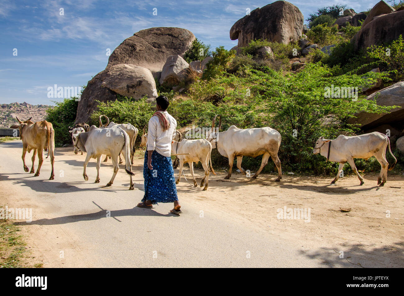A Sheperd in Hampi, Hampi, Karnataka, India Stock Photo - Alamy