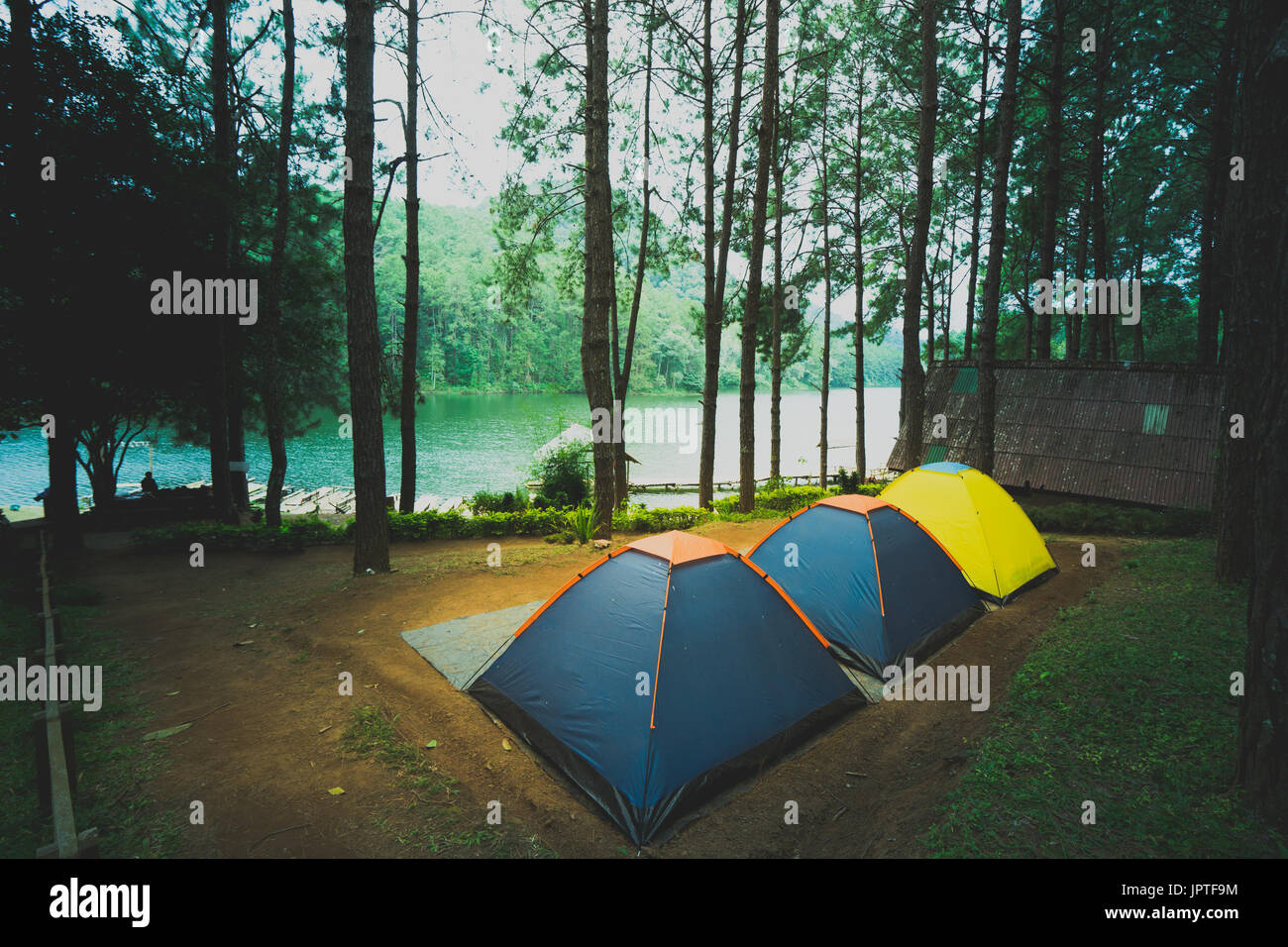 holiday camping under tree agent sun lighting Stock Photo - Alamy