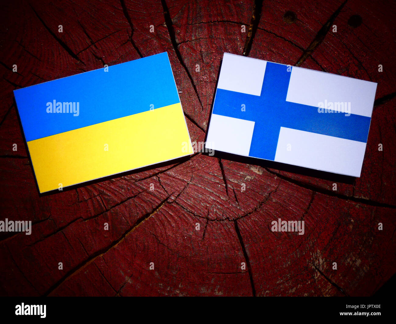 Ukrainian flag with Finnish flag on a tree stump isolated Stock Photo ...