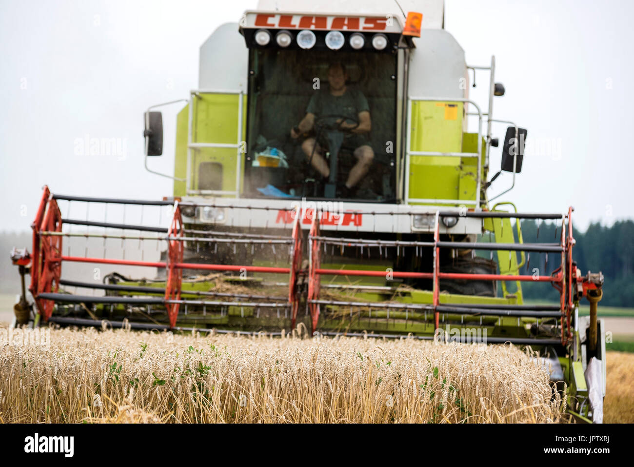 Combine Harvester - Wheat Crop, Bavaria Germany Stock Photo - Alamy