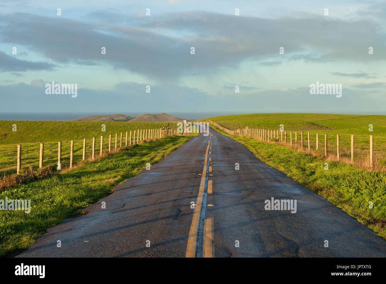 A back country road along the coastline in Point Reyes National ...