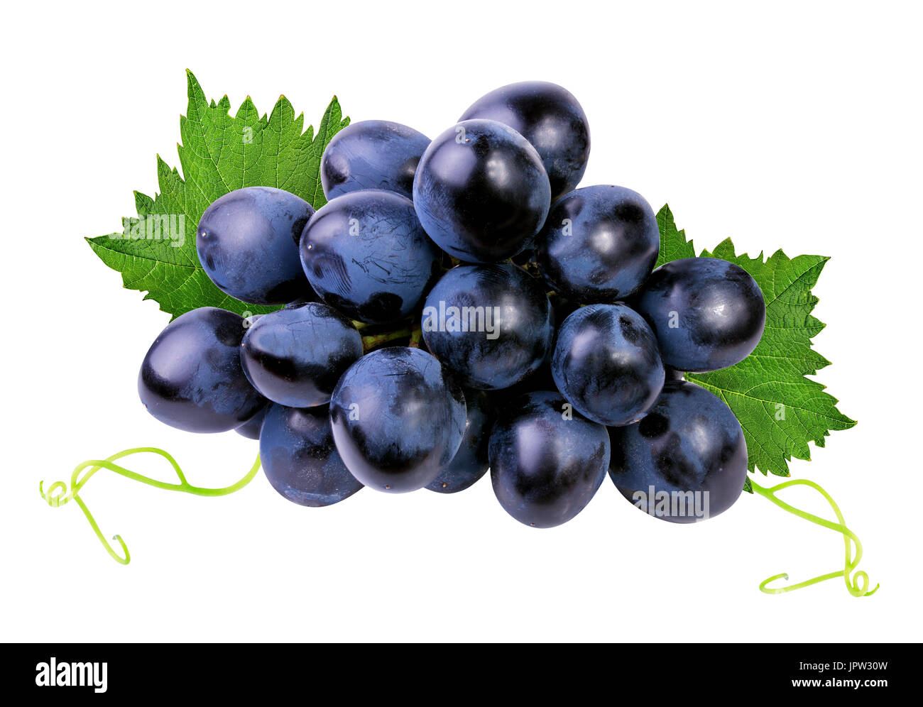 grapes isolated on the white background Stock Photo - Alamy