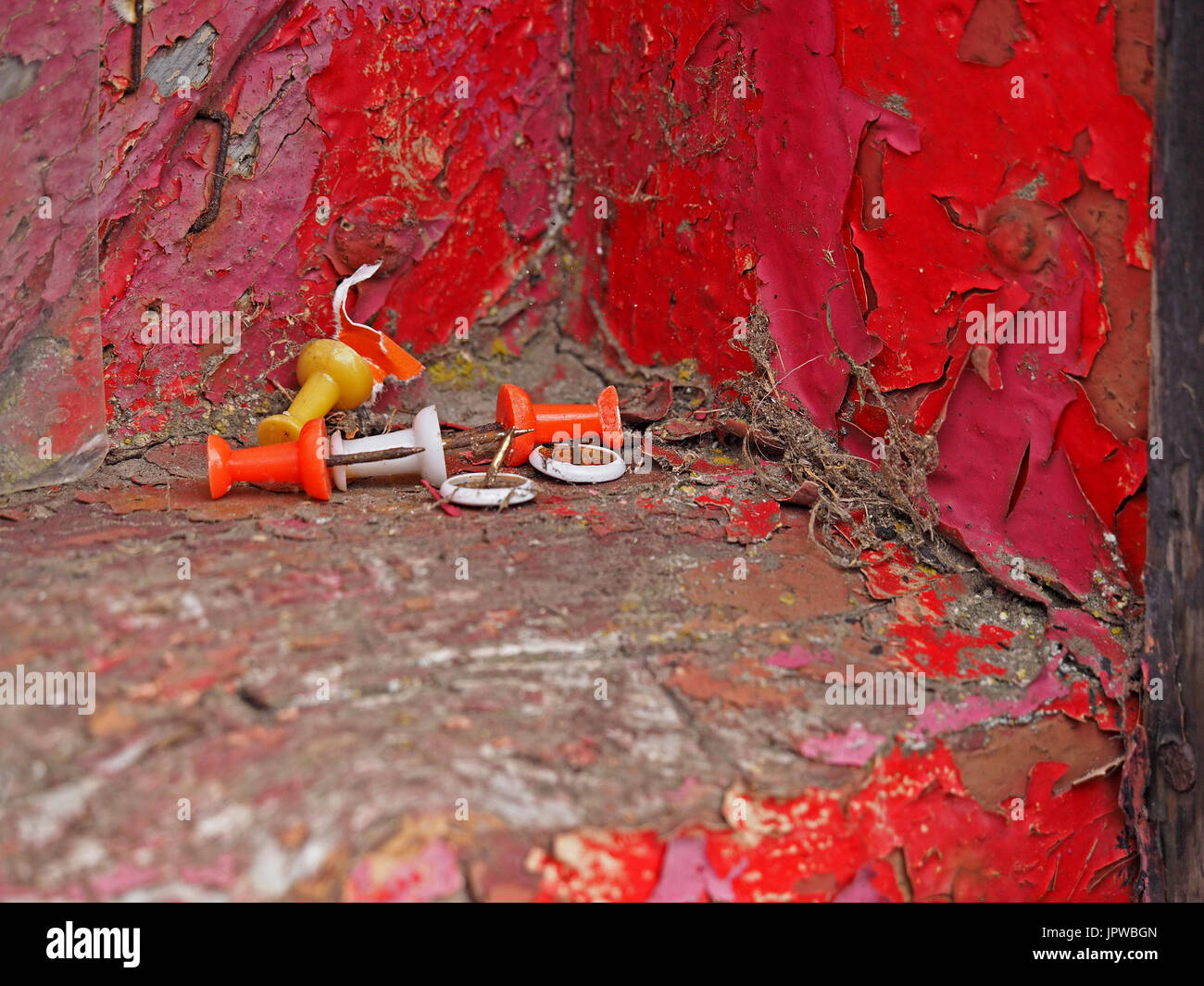 plastic coated pin tacks and drawing pins on flaking red painted ...