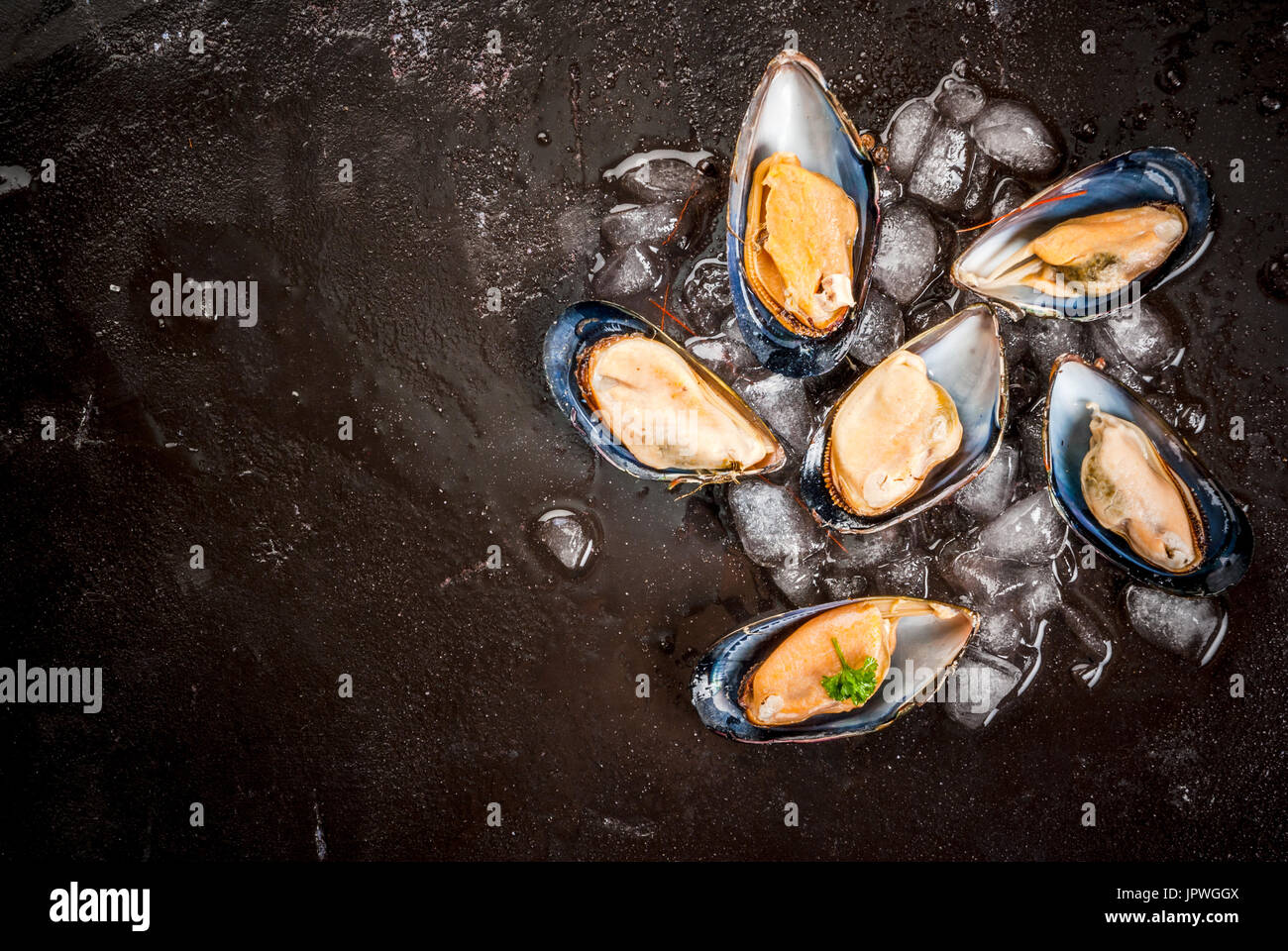 Prepared for cooking dinner seafood - fresh opened mussels on ice, on ...