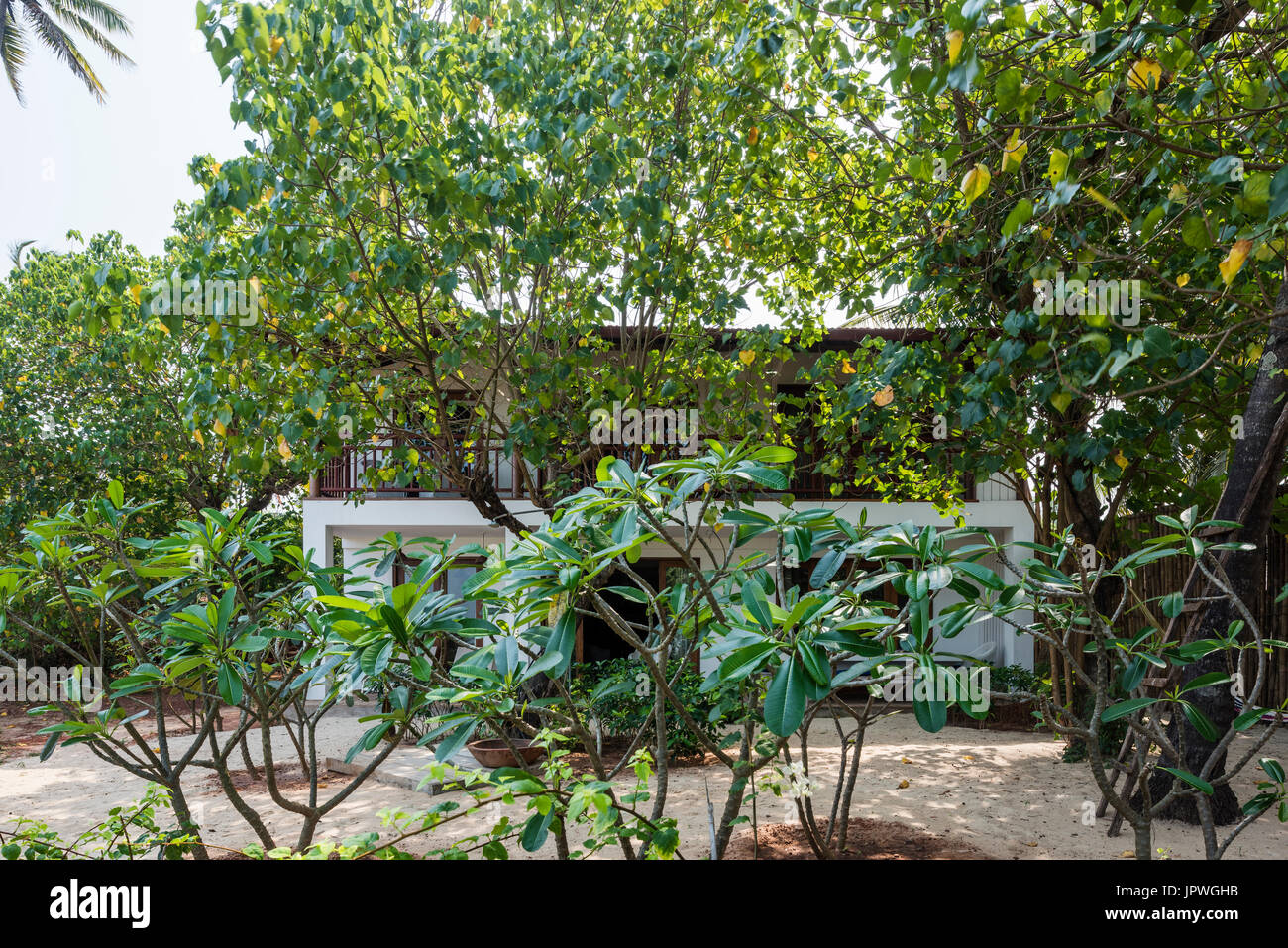 Mediterranean house behind trees Stock Photo - Alamy