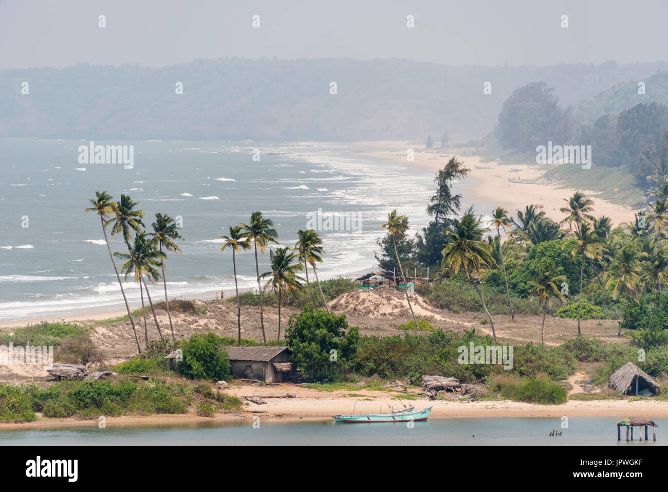 Tropical seasonal forest hi-res stock photography and images - Alamy