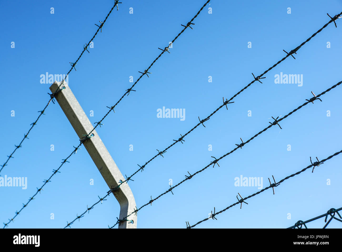 Coiled razor wire with its sharp steel barbs on top of a mesh perimeter ...