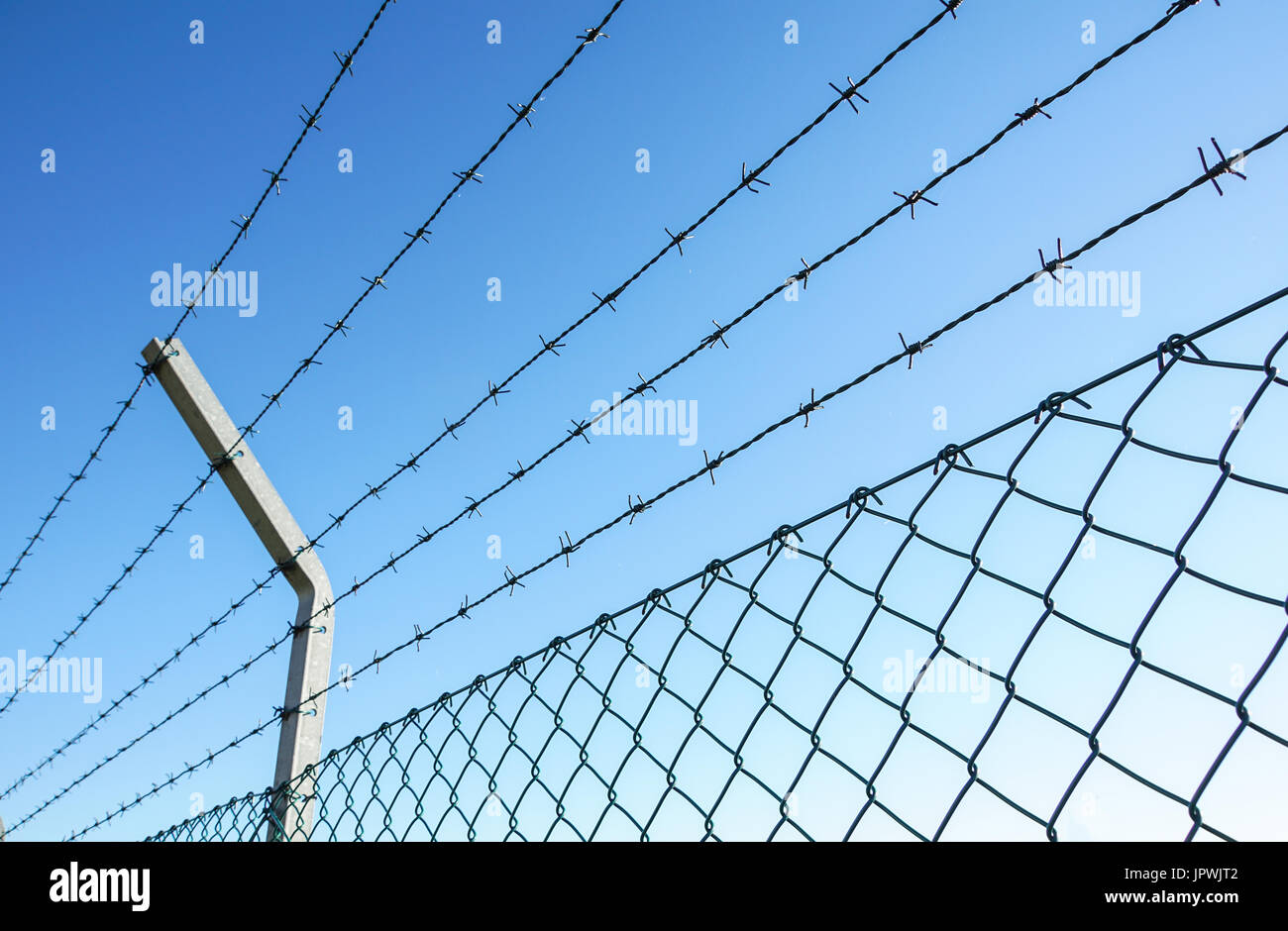 Coiled razor wire with its sharp steel barbs on top of a mesh perimeter ...