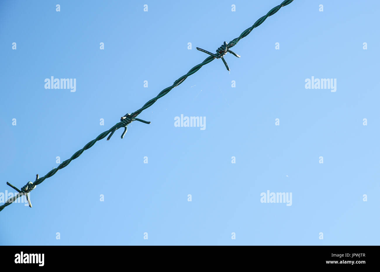 Coiled razor wire with its sharp steel barbs on top of a mesh perimeter ...