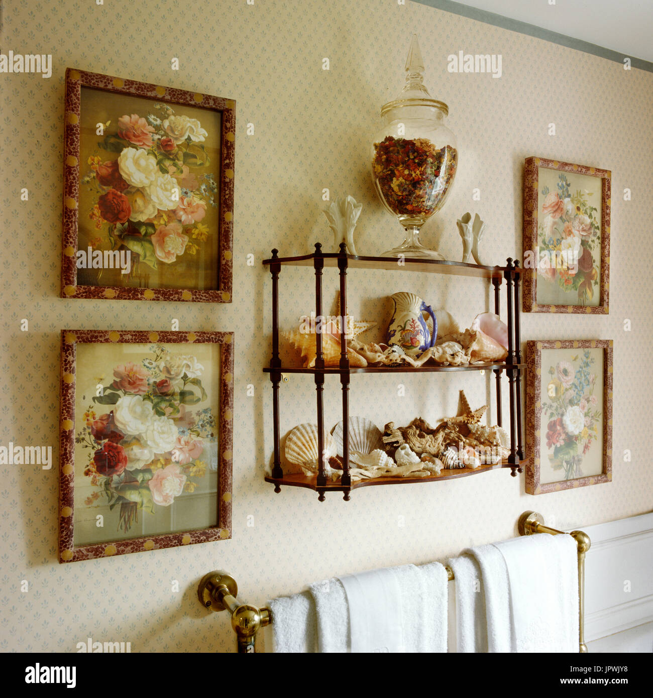 Shell collection display hi-res stock photography and images - Alamy