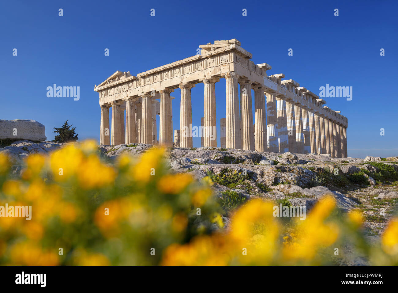 Athens Parthenon Flowers High Resolution Stock Photography and Images ...