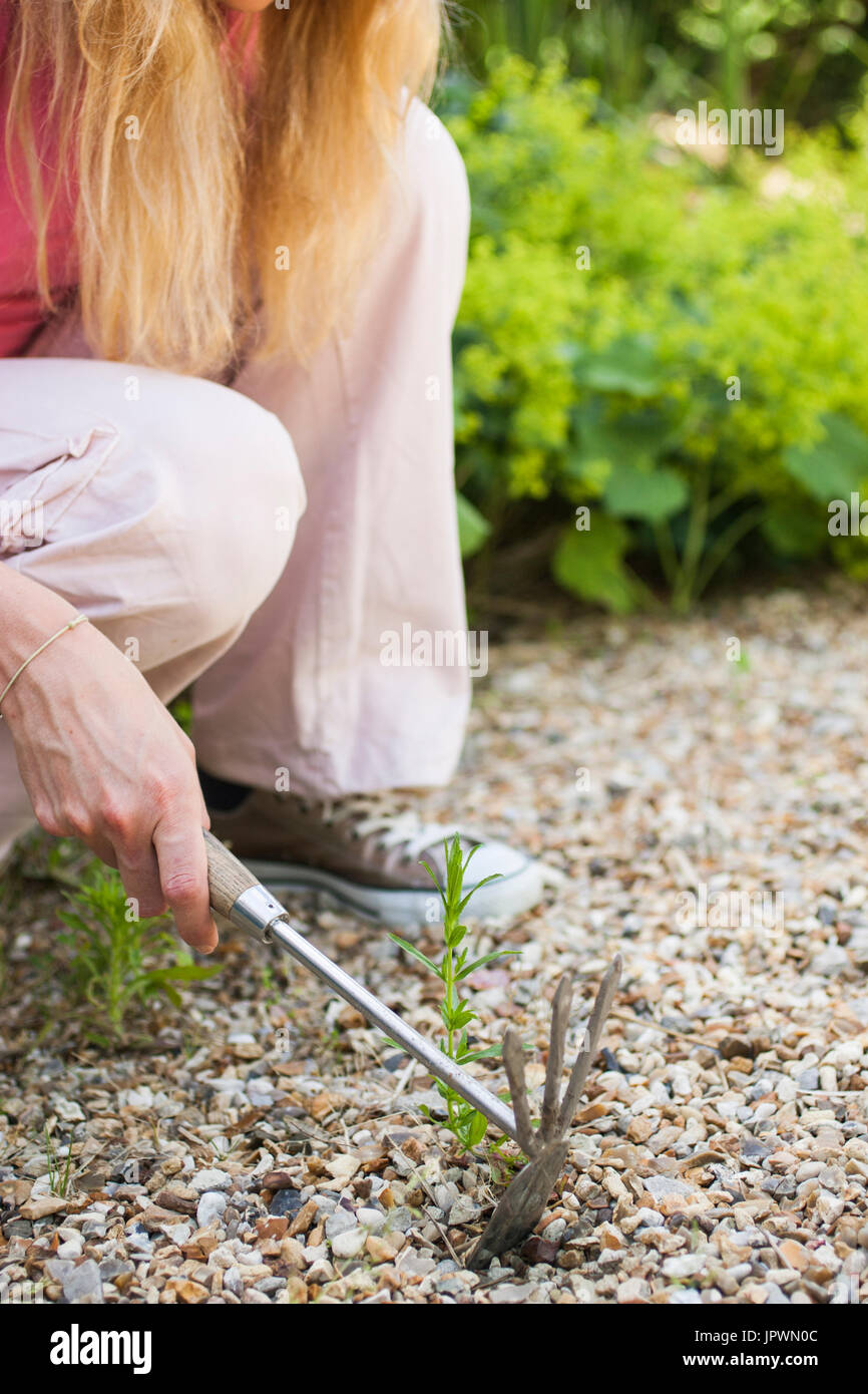 Woman weeding her gravel path Stock Photo - Alamy