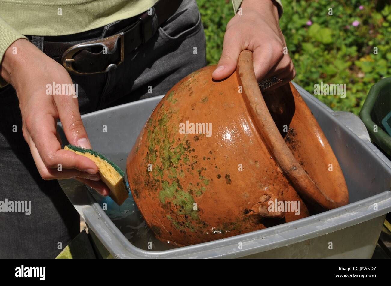 Cleaning of pots in a garden Stock Photo - Alamy