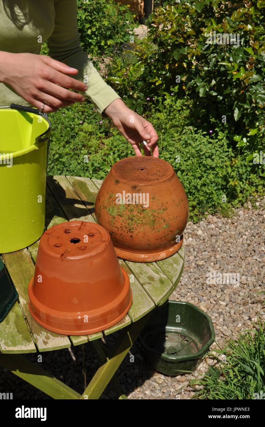 Cleaning of pots in a garden Stock Photo - Alamy