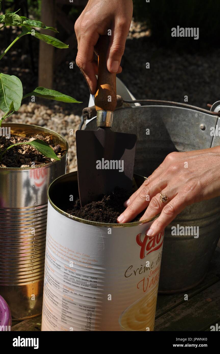 Planting Tin Cans High Resolution Stock Photography and Images - Alamy