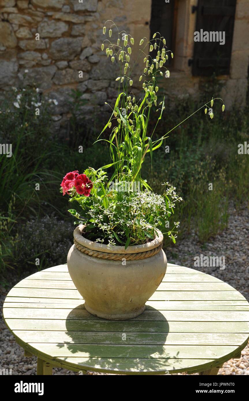 Putting props for plants in a pot Stock Photo - Alamy