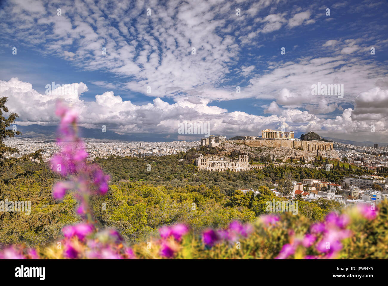 Athens parthenon flowers hi-res stock photography and images - Alamy