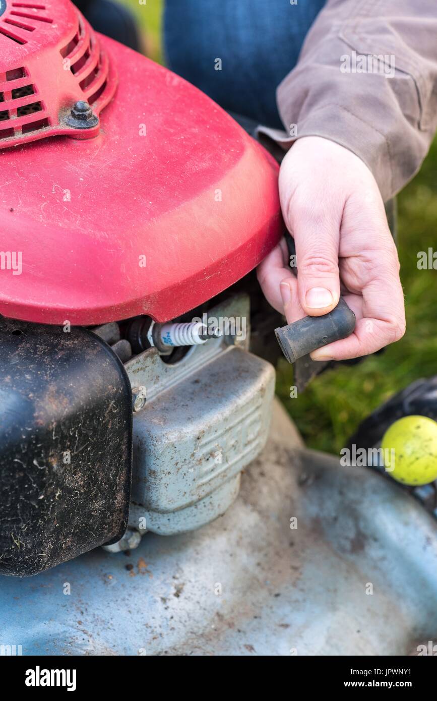 Maintenance of a lawn mower Stock Photo - Alamy