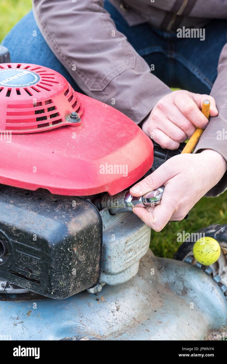 Maintenance of a lawn mower Stock Photo - Alamy