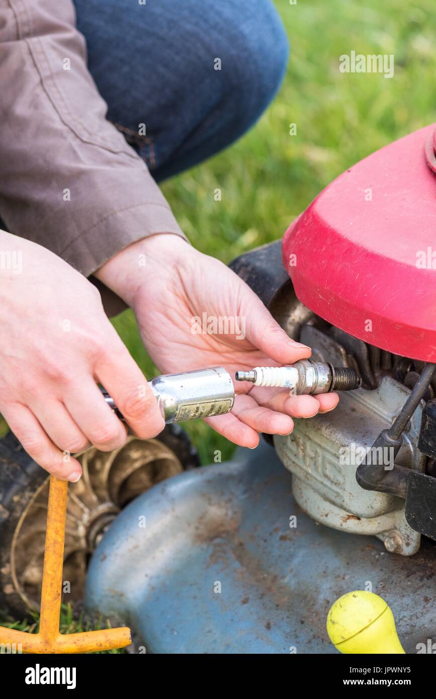 Maintenance of a lawn mower Stock Photo - Alamy