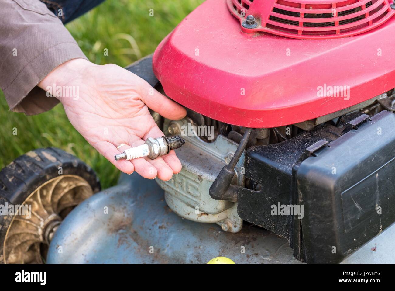 Maintenance of a lawn mower Stock Photo - Alamy