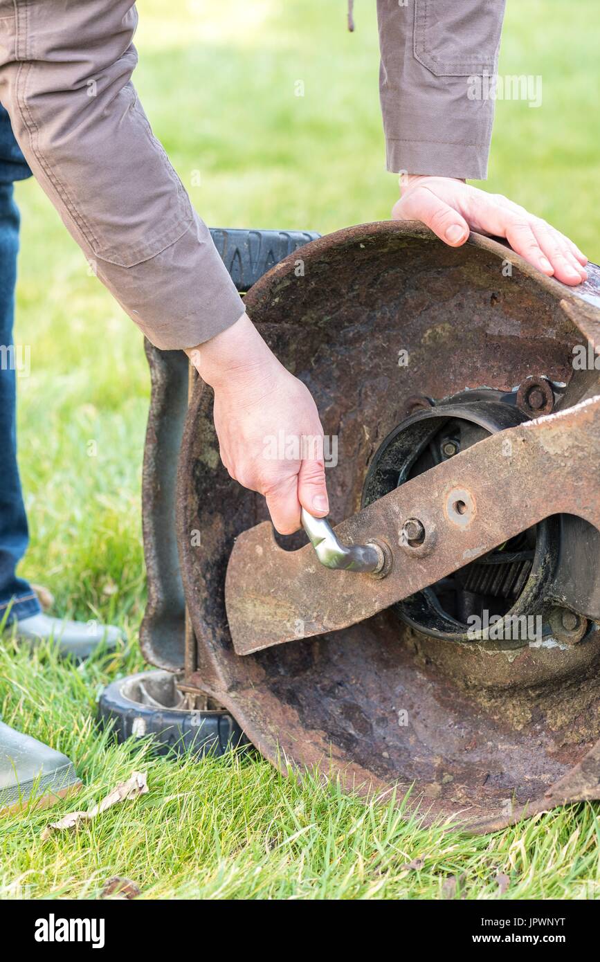 Maintenance of a lawn mower Stock Photo - Alamy