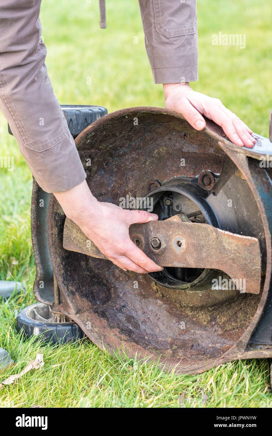 Maintenance of a lawn mower Stock Photo - Alamy