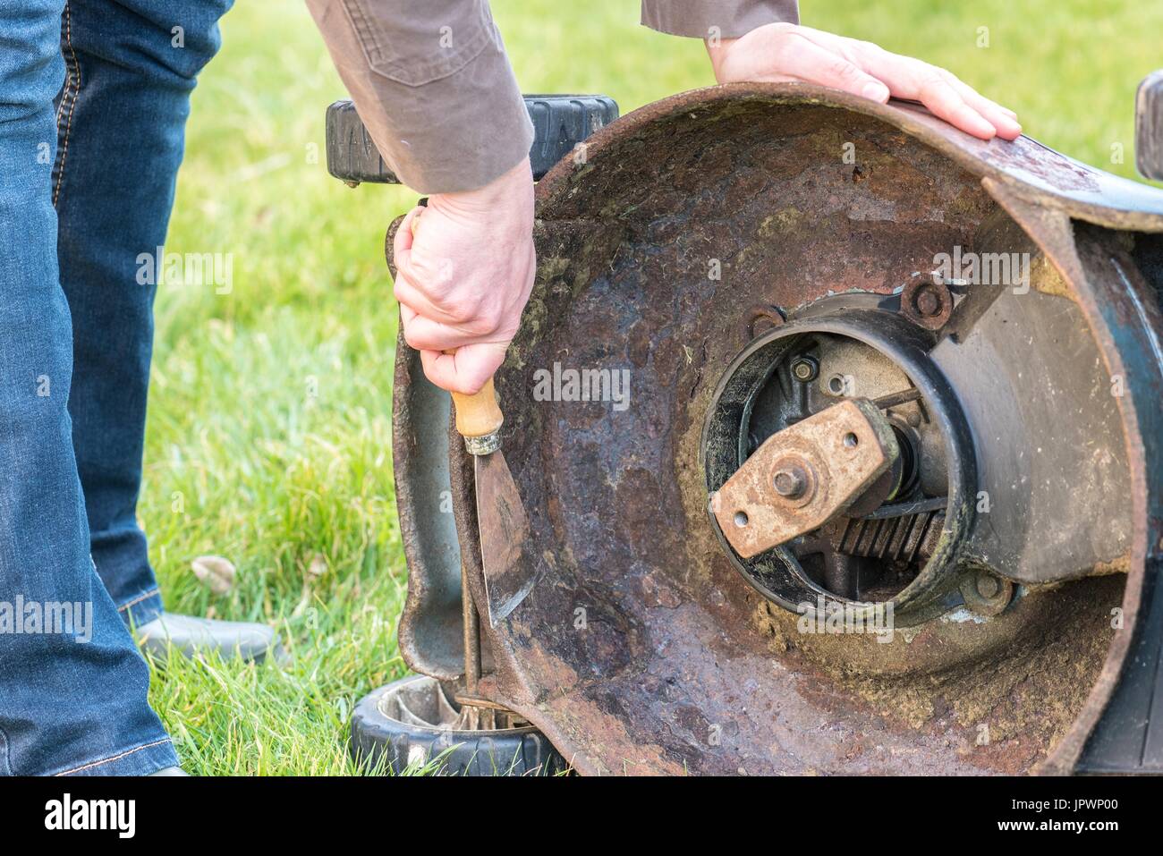 Maintenance of a lawn mower Stock Photo - Alamy